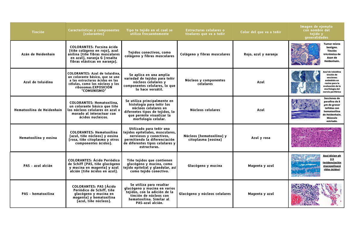 Tinciones de tejidos HISTOLOGÍA - Tinción Características y componentes ...