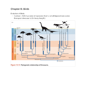 Vert Bio Syllabus 2022 - VERTEBRATE BIOLOGY (Biol 456) Fall 2022 Course ...