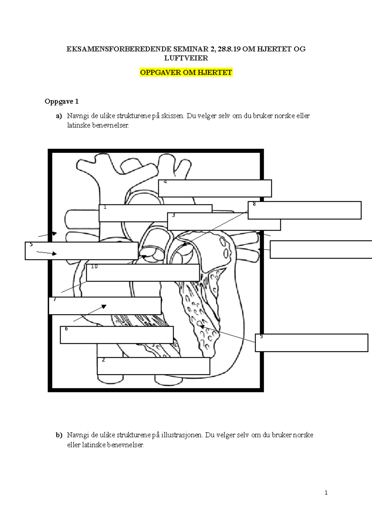 Oppgaver om hjertet og - EKSAMENSFORBEREDENDE SEMINAR 2, 28.8 OM HJERTET OG LUFTVEIER OPPGAVER ...