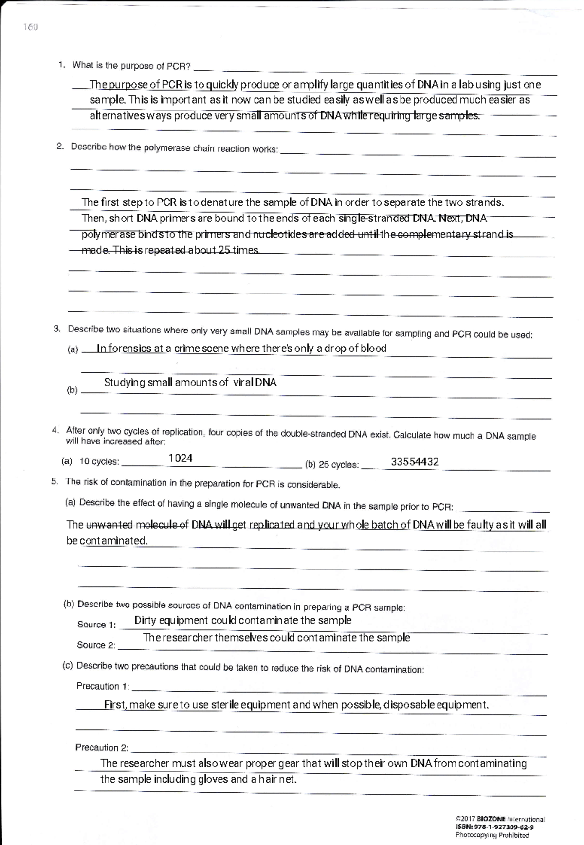 Biotechnology-pCR worksheet - 1. What is the purpose of pCR? 2 ...