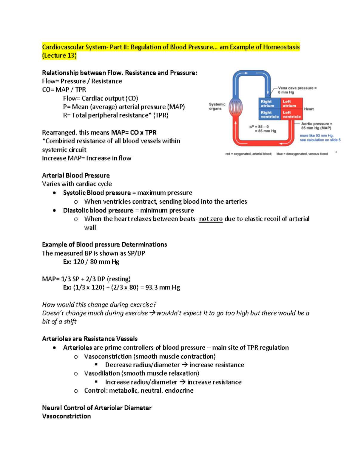 Lecture 13-18 Notes - Cardiovascular System- Part II: Regulation of ...