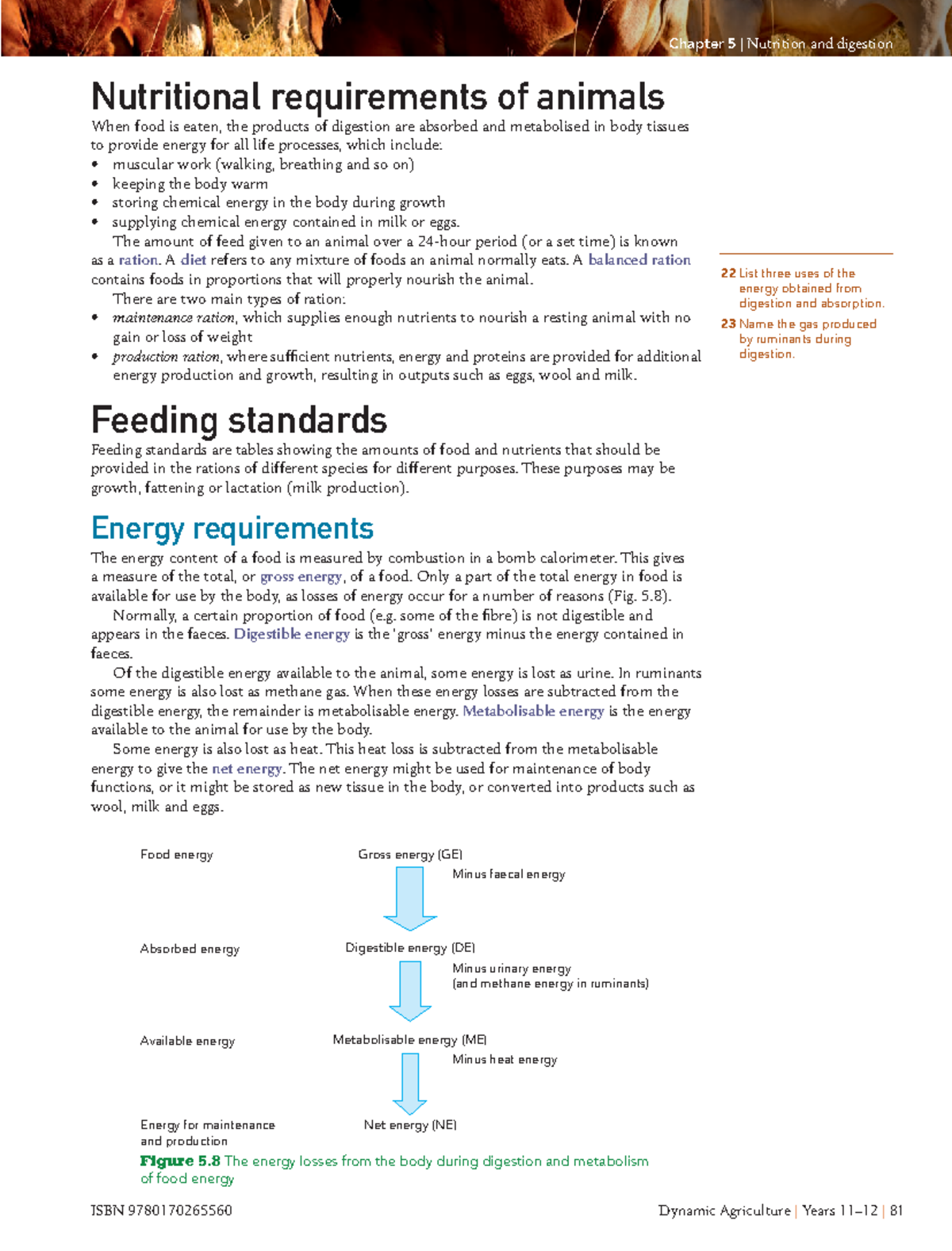 Dynamic Ag Pages 81-83 - Chapter 5 Nutrition and digestion Nutritional ...