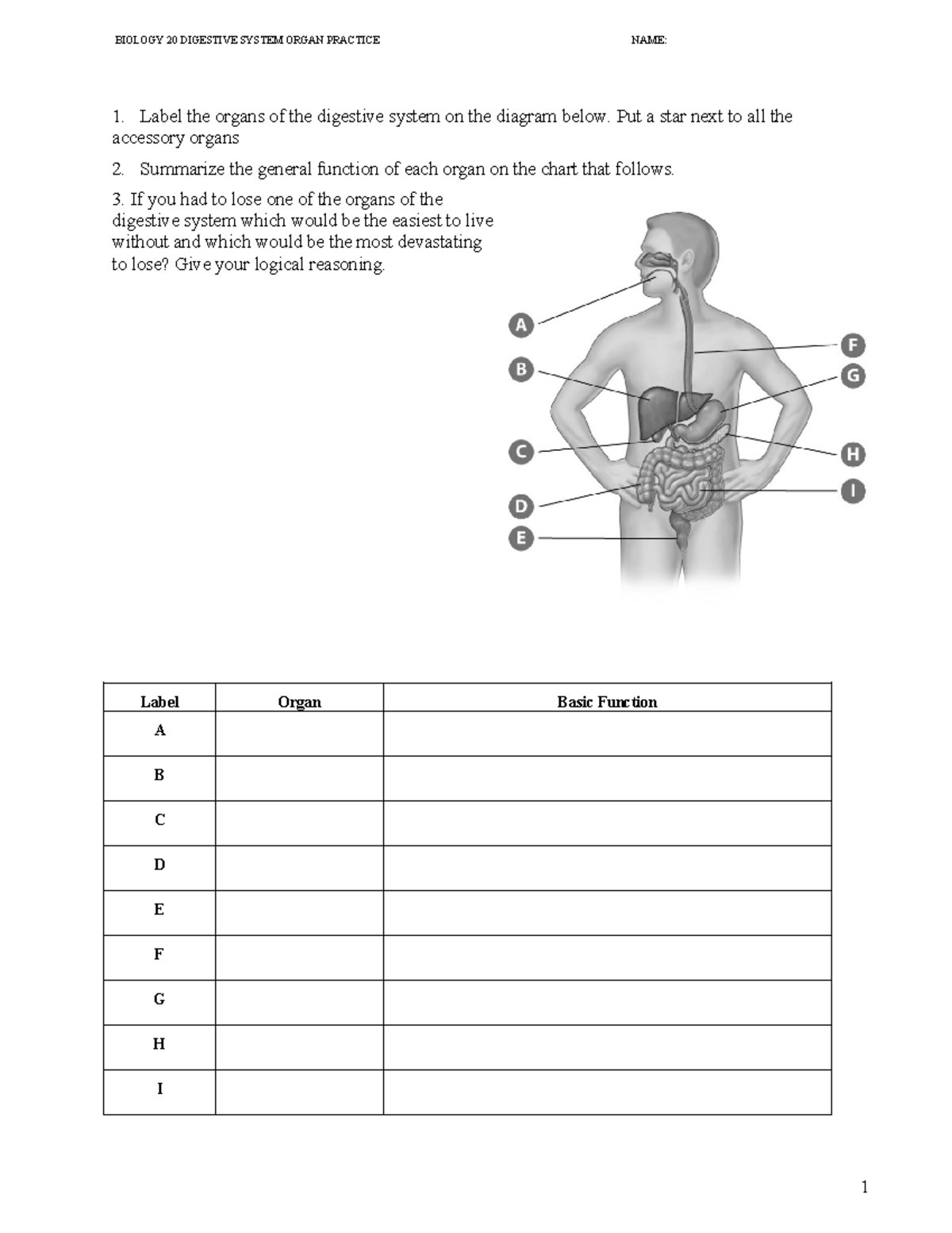 B.2a Digestive System review of organs and function - BIOLOGY 20 ...