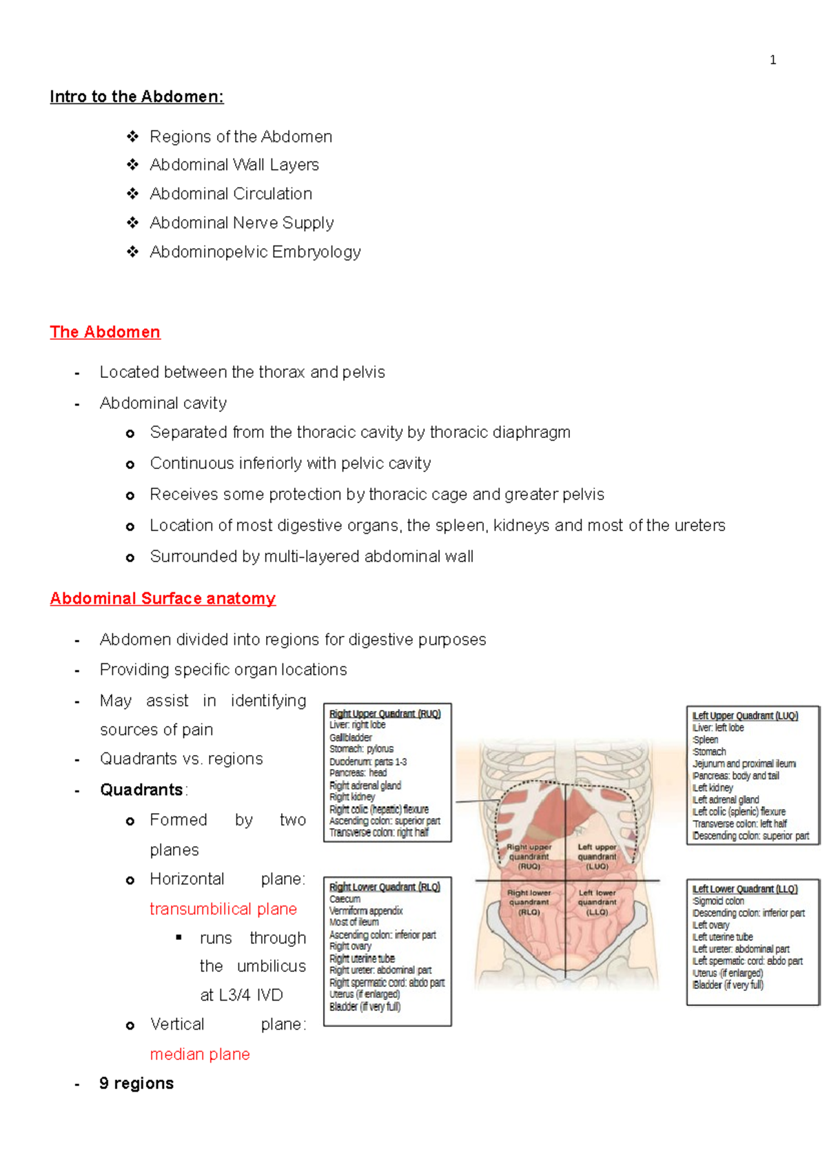 Semester Notes The Abdomen - 1 Intro to the Abdomen: Regions of the ...