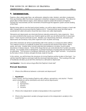 Civil War Assessment Review Sheet - What was the Confederacy’s fighting ...