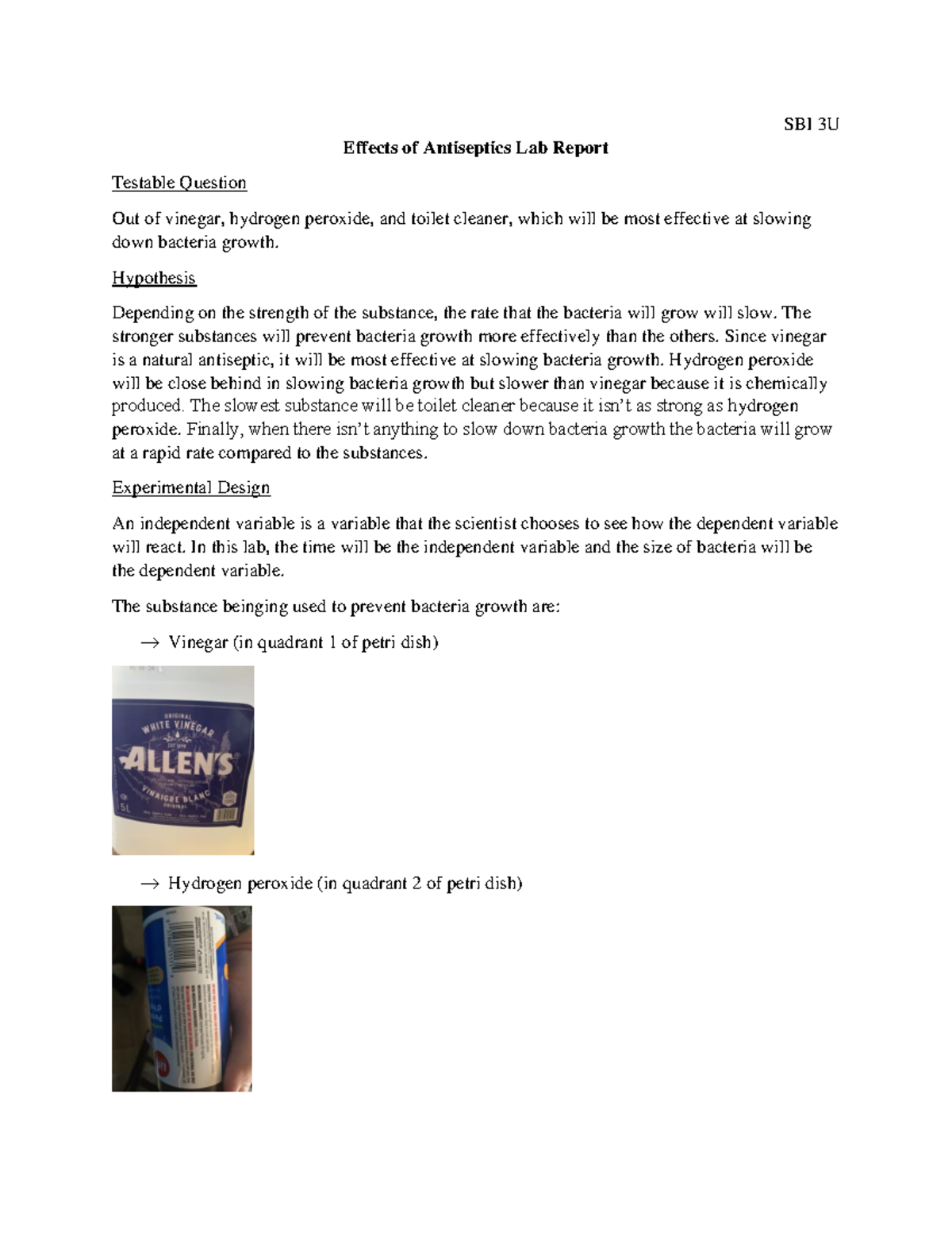 Effects of Antiseptics Lab Report - SBI 3U Effects of Antiseptics Lab ...