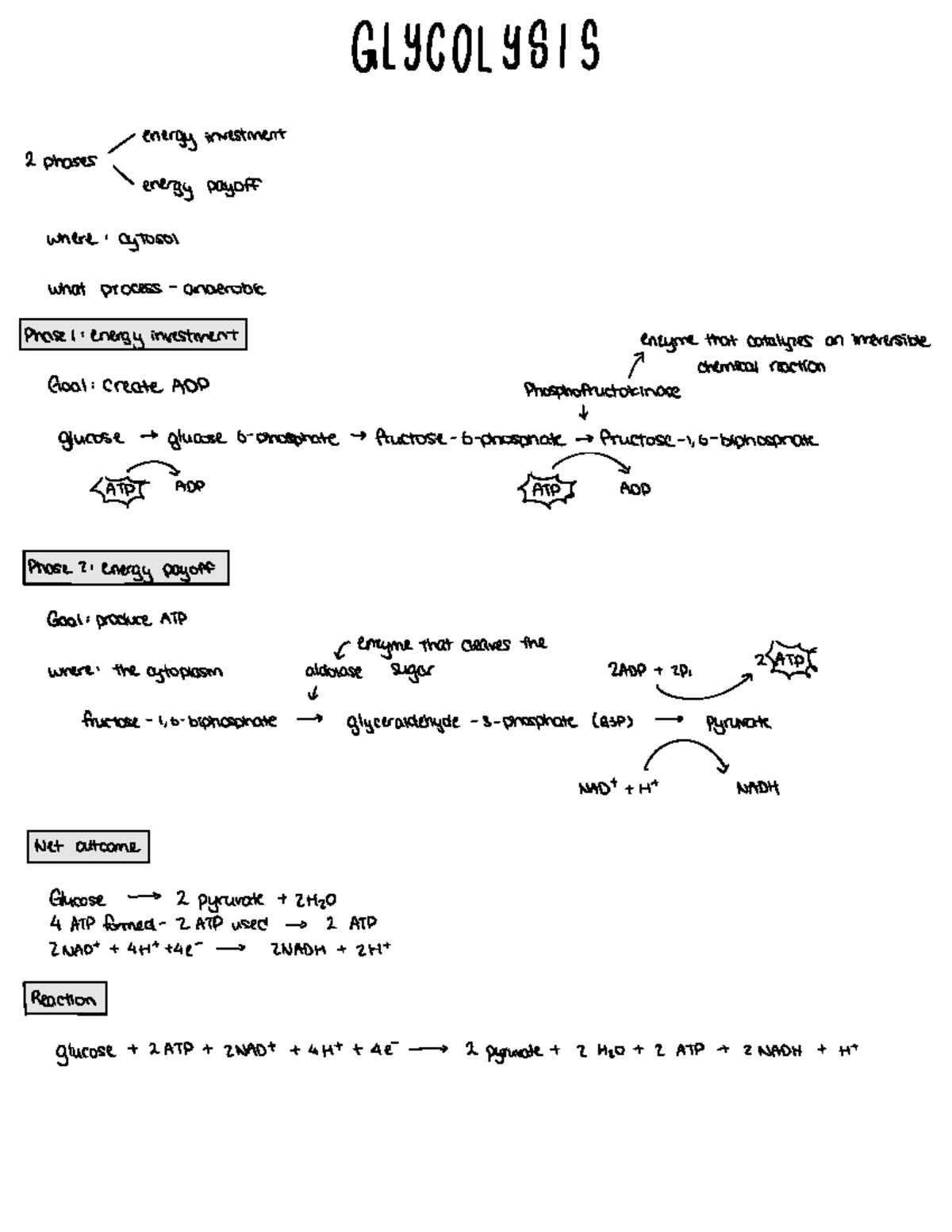 Study document for preparation - Warning: Error during font loading: XMLHttpRequest is not ...