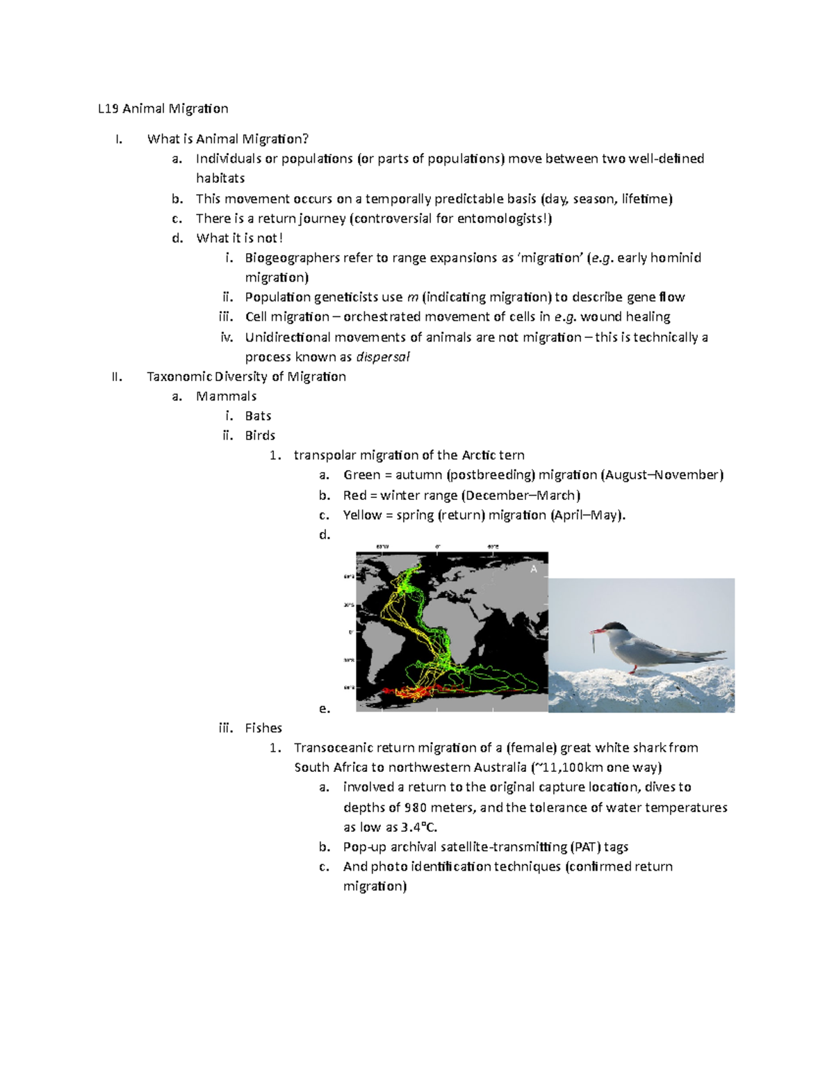 L19 Animal Migration - Lecture notes 19 - L19 Animal Migration I. What ...