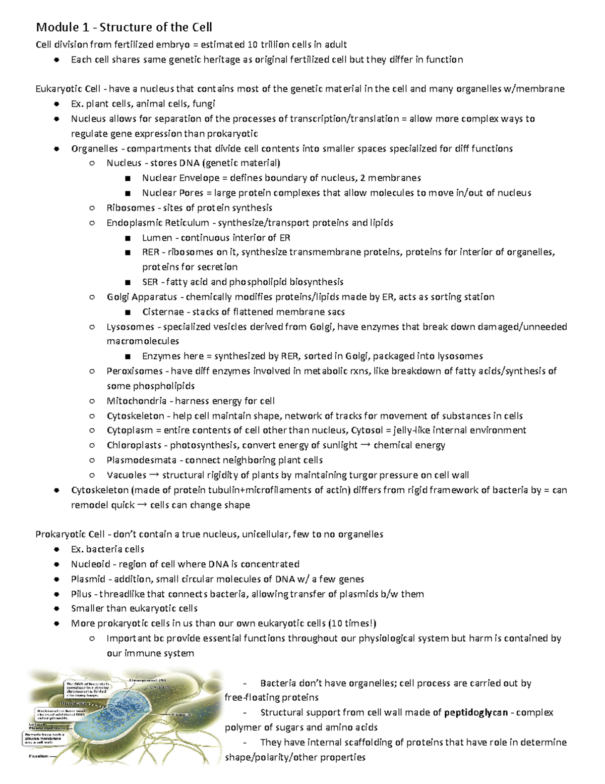 Theme 1 - Modules 1 + 2 - Module 1 - Structure of the Cell Cell ...