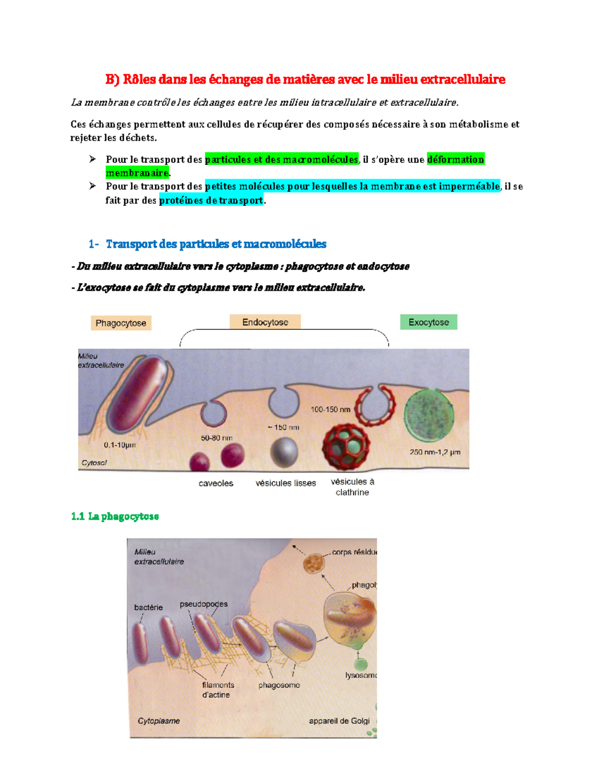 5- Rôles de la membrane, échanges de matières avec le milieu ...