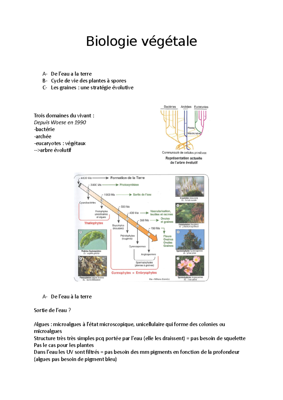 Biologie végétale mineure pass - Biologie végétale A- De l’eau a la ...