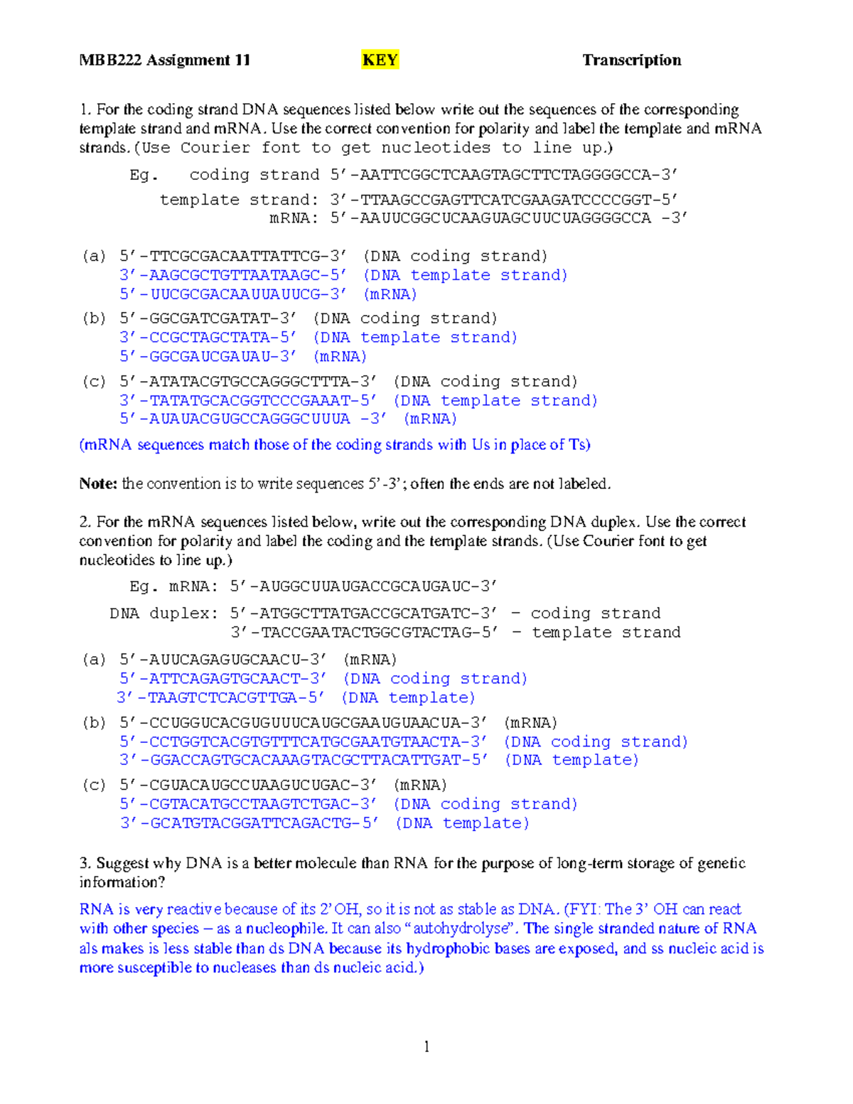 Assignment 11 Transcription KEY - For the coding strand DNA sequences ...