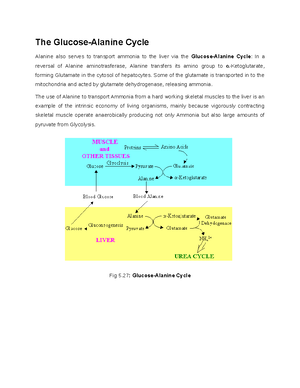 Module 4 Laboratory Activity - Figure 4-2 depicts a longitudinal ...