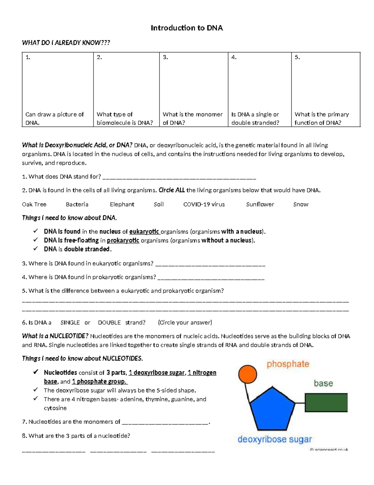 Introduction to DNA - Fill in the blank worksheet, students read and ...