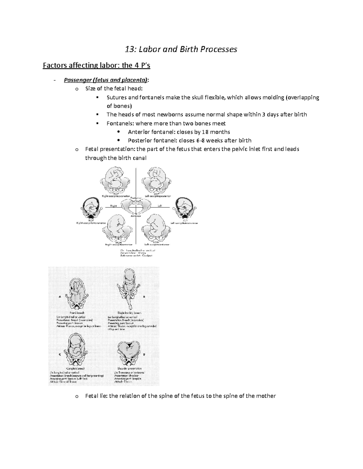 13 Labor and Birth Processes - 13: Labor and Birth Processes Factors ...