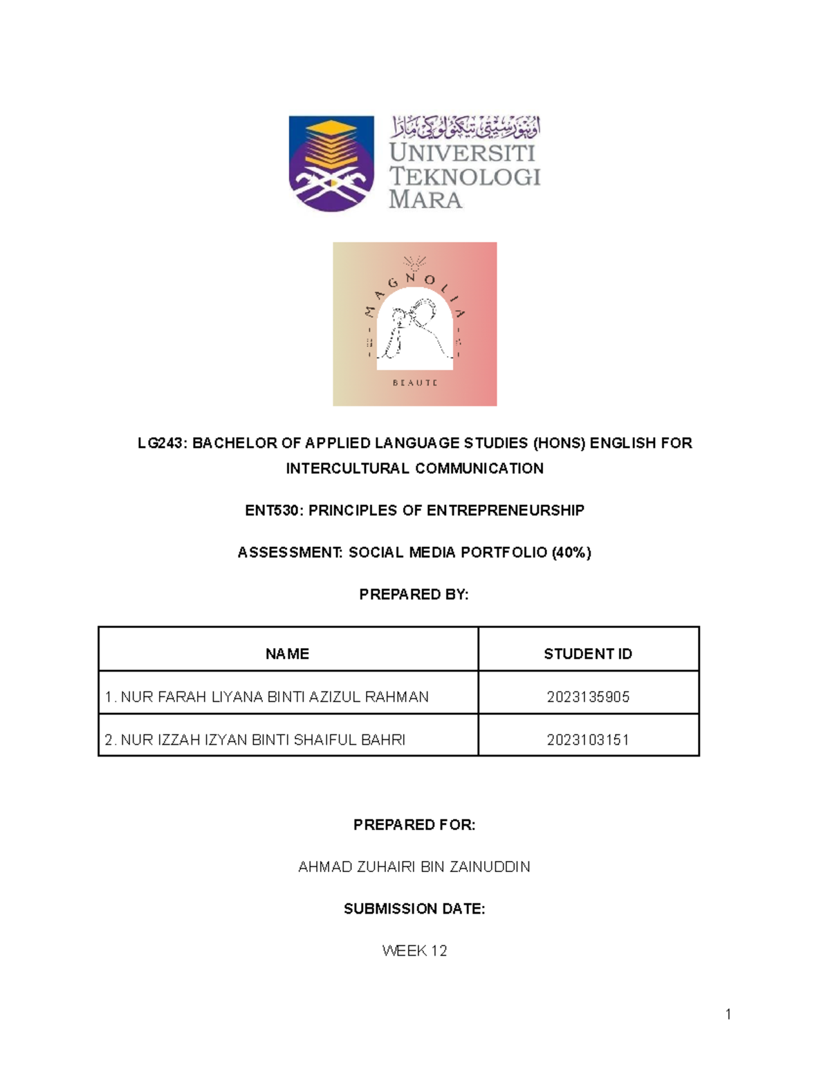 ENT530 Social Media Portfolio ( Report) - LG243: BACHELOR OF APPLIED ...