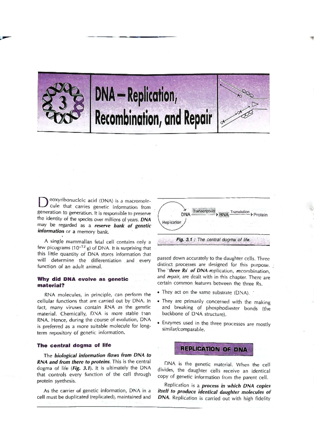 DNA - Replication, Recombination and Repair - Environmental Biology ...
