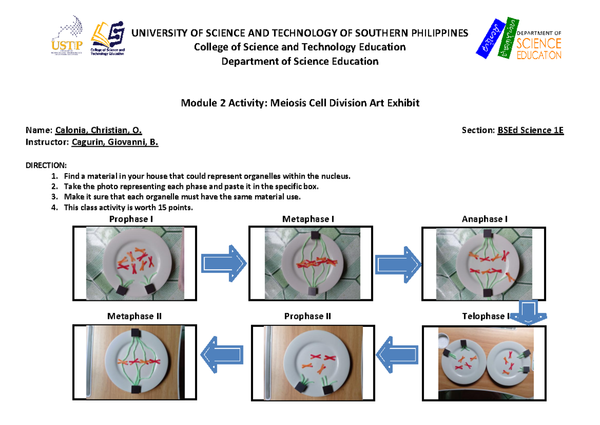 Meiosis Cell Division - Section: BSEd Science 1E Instructor: Cagurin, Giovanni, B. DIRECTION: 1 ...