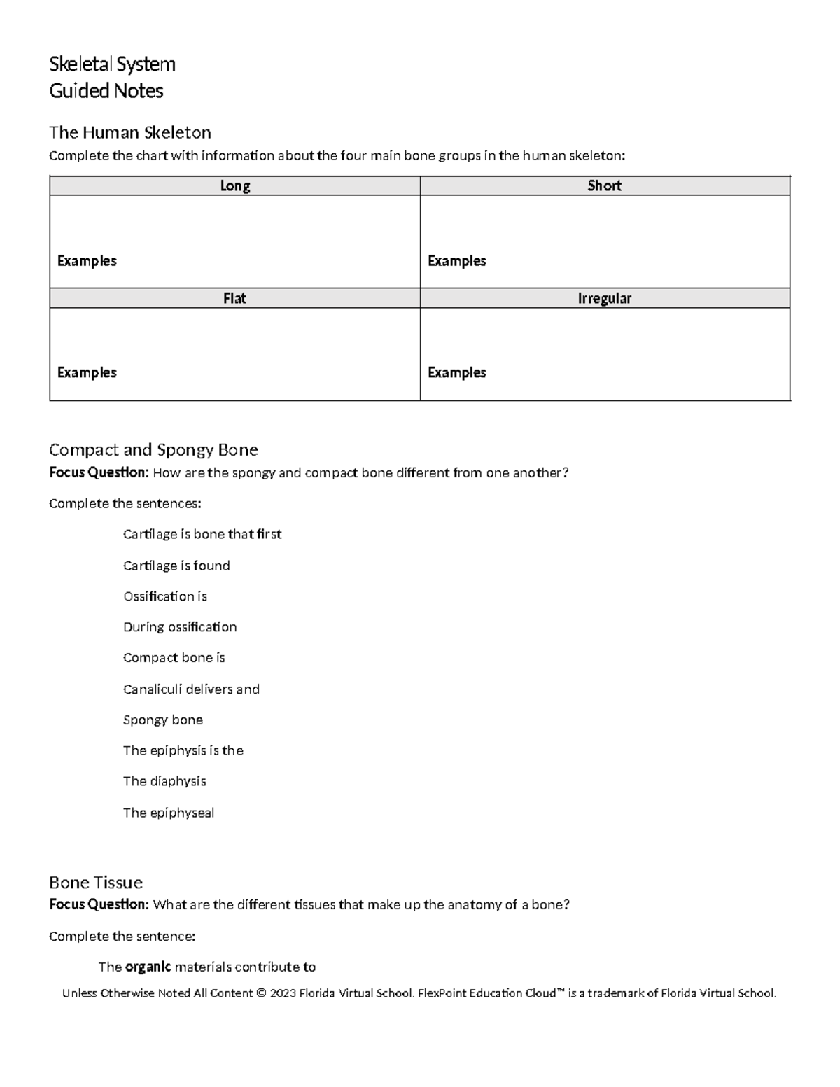 Guided notes skeletal system - Skeletal System Guided Notes The Human ...