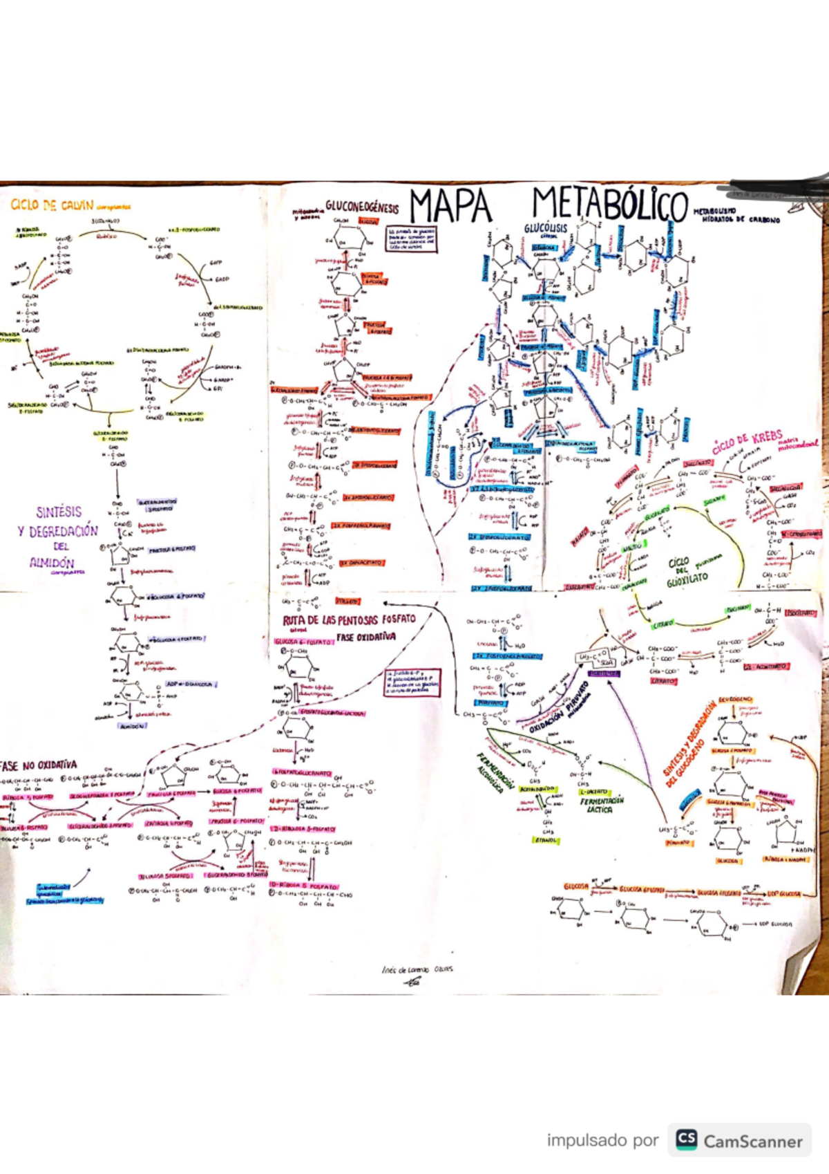 MAPA MetabóLICO BioquíMICA 2 - Bioquímica: Bioquímica II - Studocu