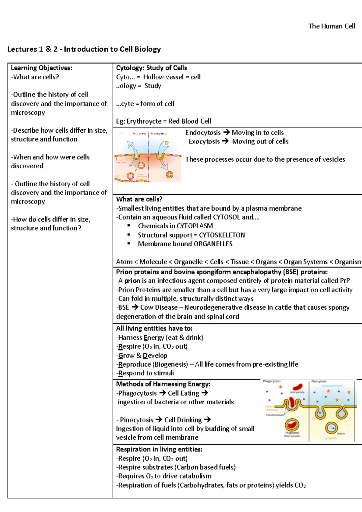 Lectures 1 & 2 – Introduction to Cell Biology - The Human Cell Lectures ...