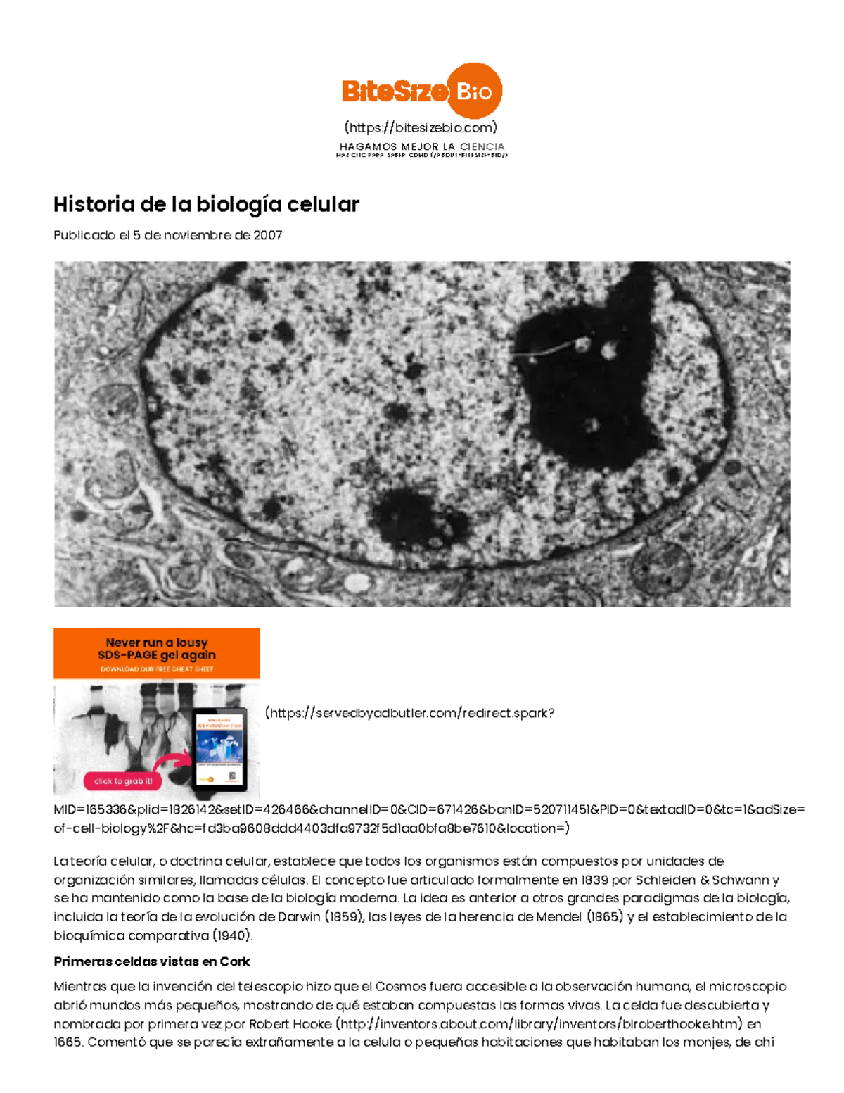 Historia de la biología celular - (bitesizebio) HAZ CLIC PARA SABER ...