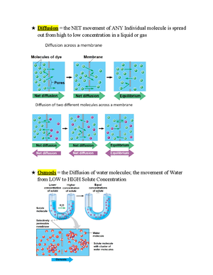 BIOL201 Fourth Exam Study Guide - In humans the LCT gene codes for the ...