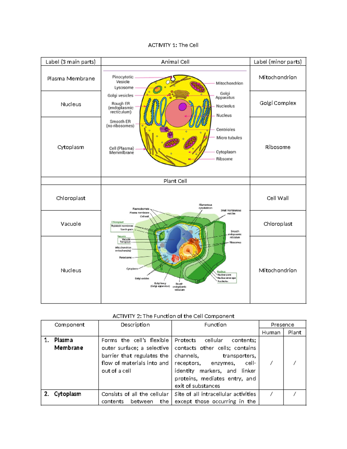 Animan & Plant Cell - ACTIVITY 1: The Cell Label (3 main parts) Animal ...