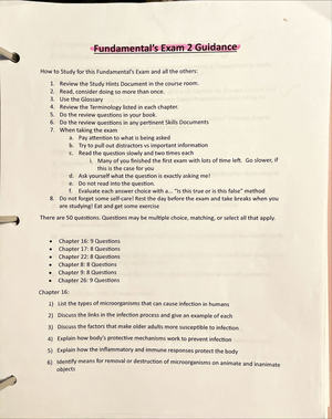 Active Learning Template medication amoxicillin - ACTIVE LEARNING ...