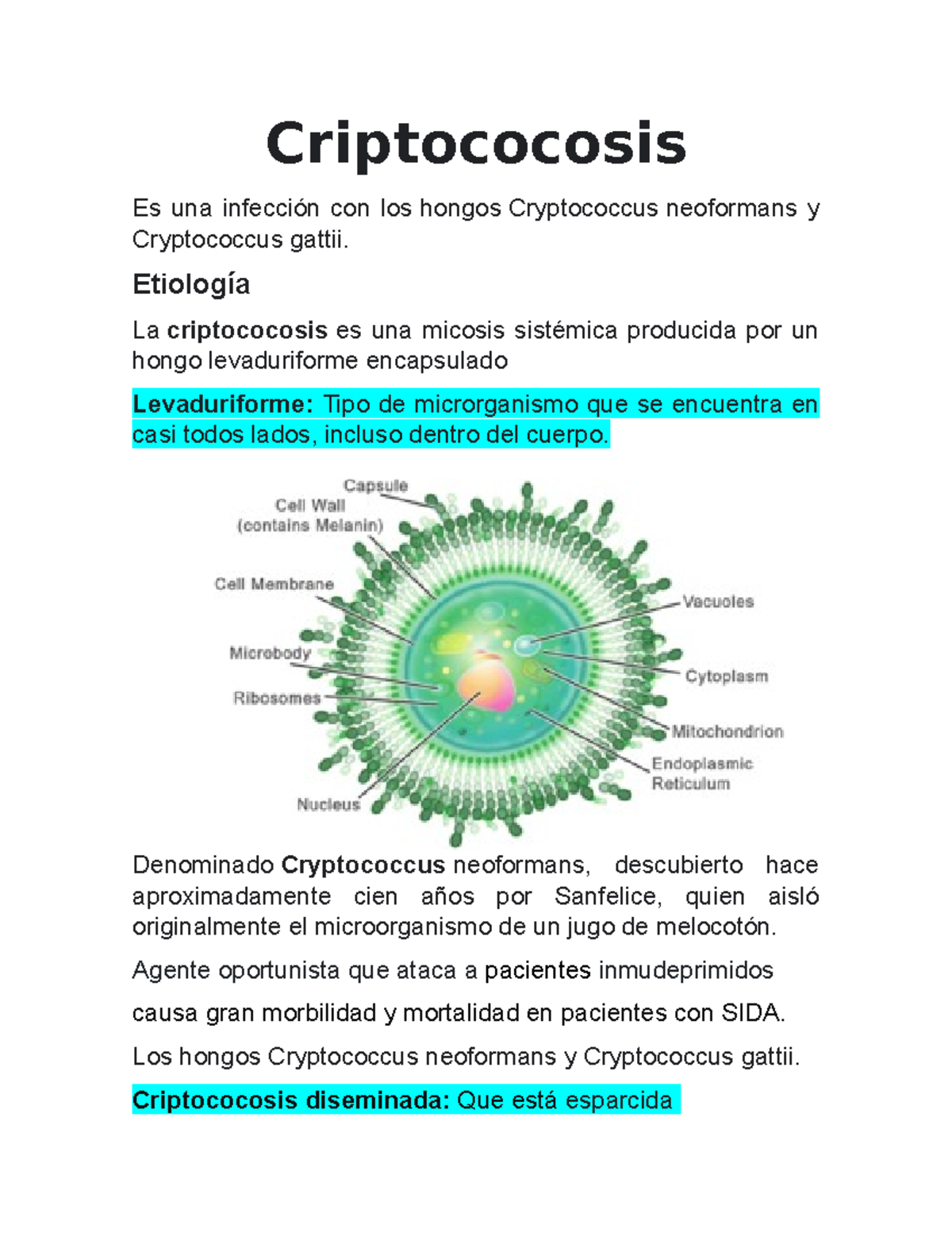 Criptococosis - micro - Criptococosis Es una infección con los hongos ...
