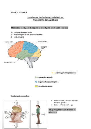 Lecture 3- Cells of the Nervous System: structure and function - Cells ...