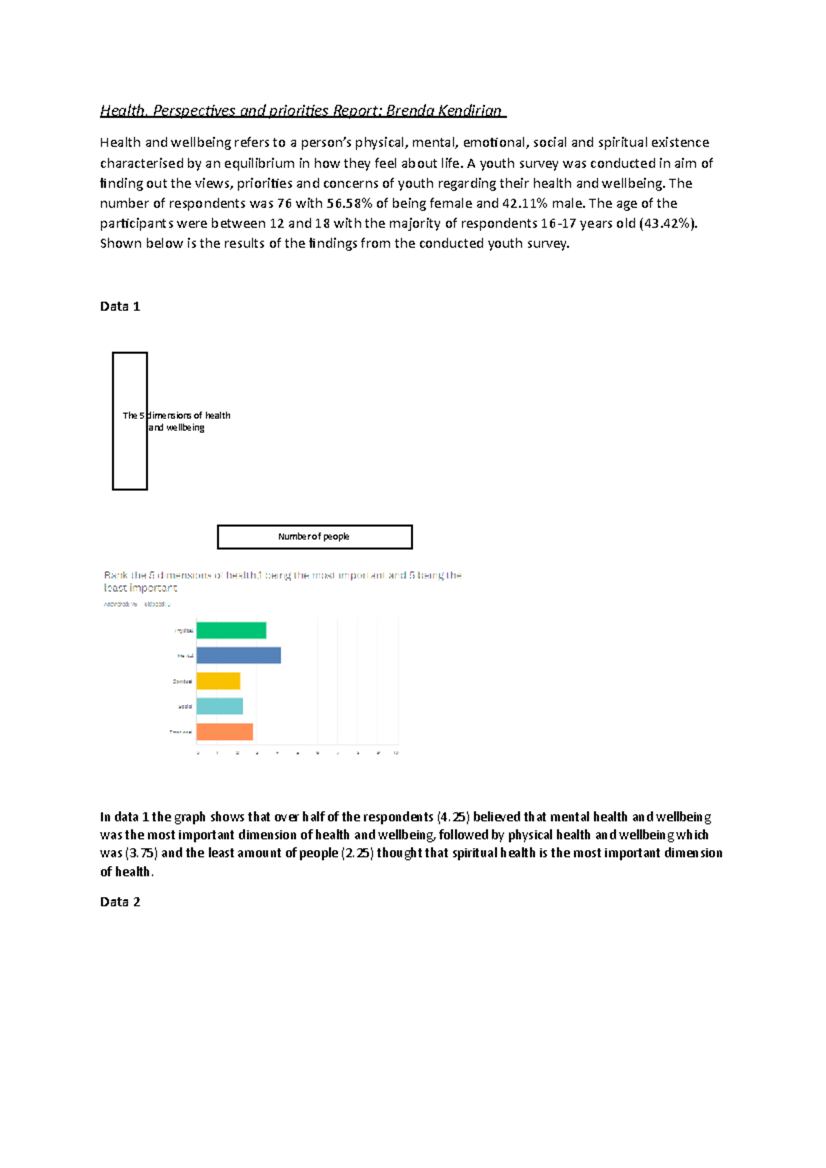 Example Health perspectives and priorities - Health, Perspectives and ...