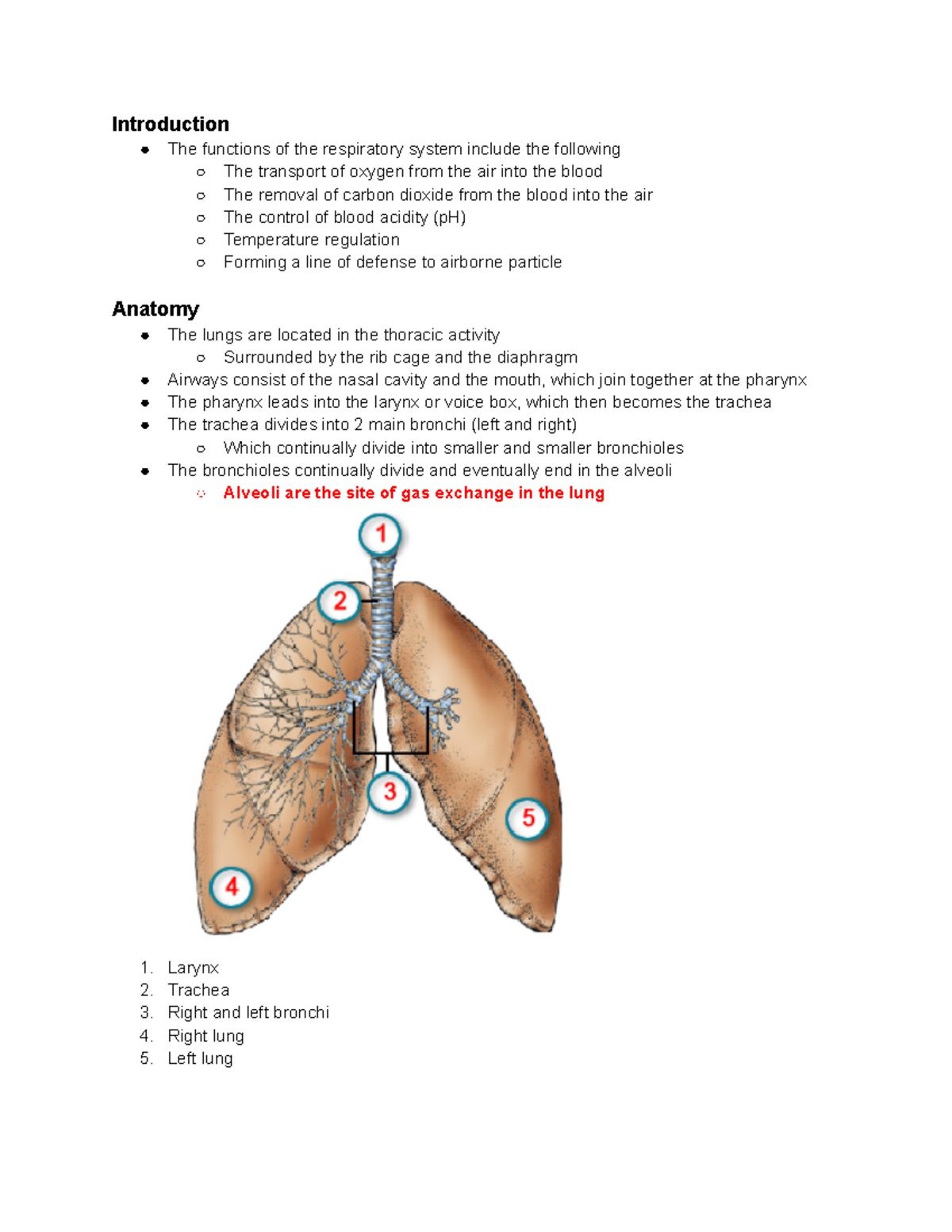 Copy of Module 10 Respiratory System - Introduction The functions of ...