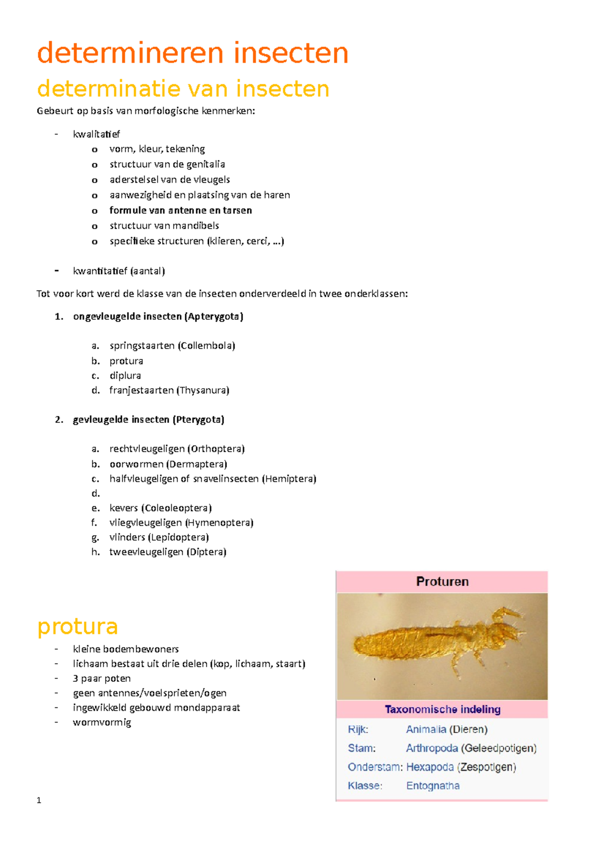 Determineren insecten samenvatting - determineren insecten determinatie ...