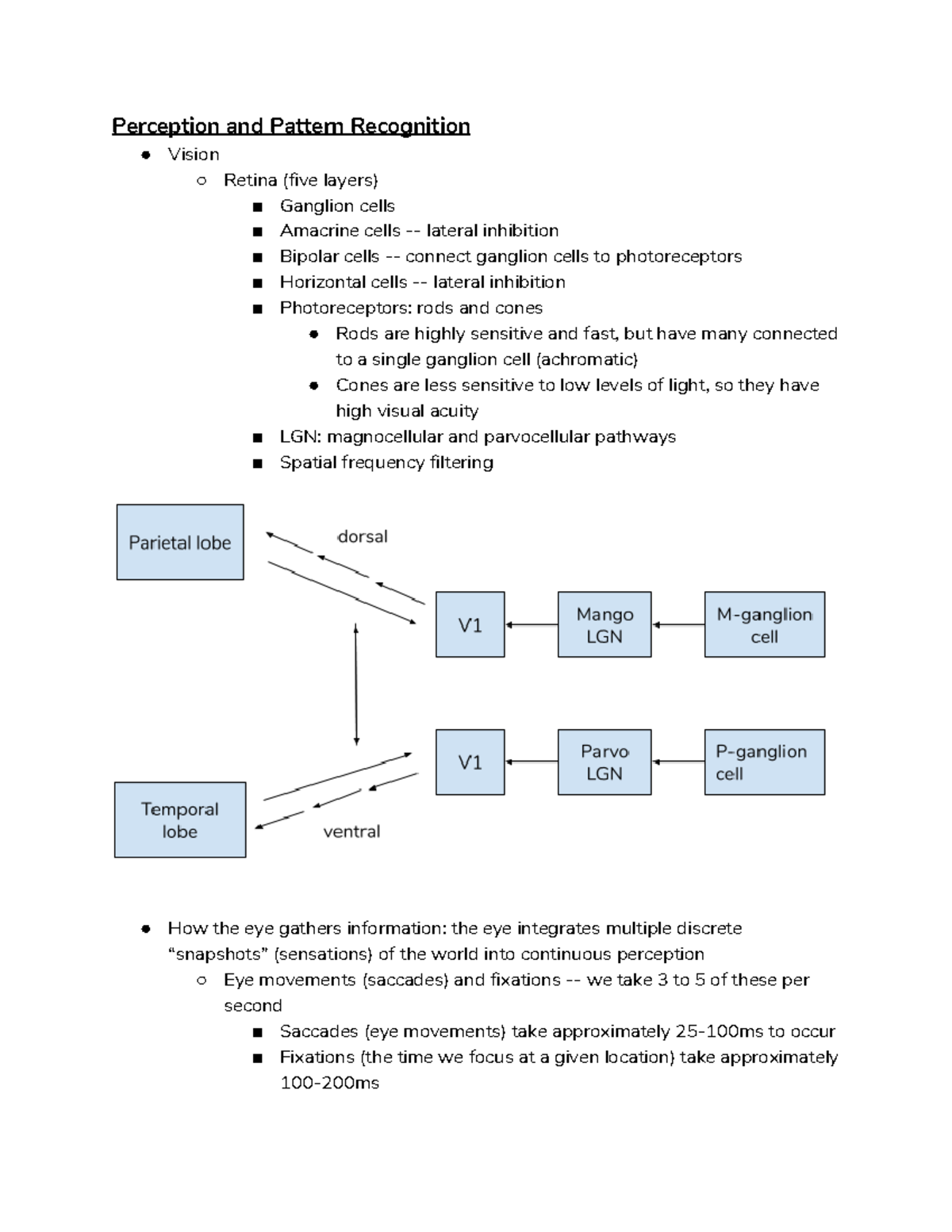 Chapter 3 (Cognitive Processes) - Perception and Pattern Recognition ...