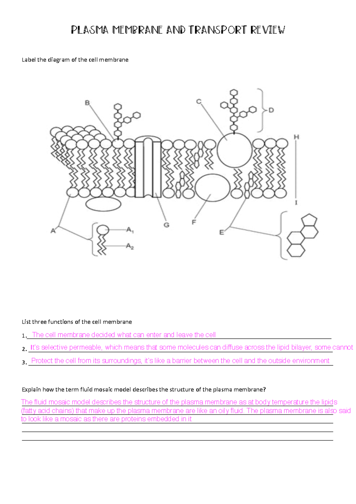 11 Biology Homework Topic 2 Cell Membranes - Plasma Membrane and ...