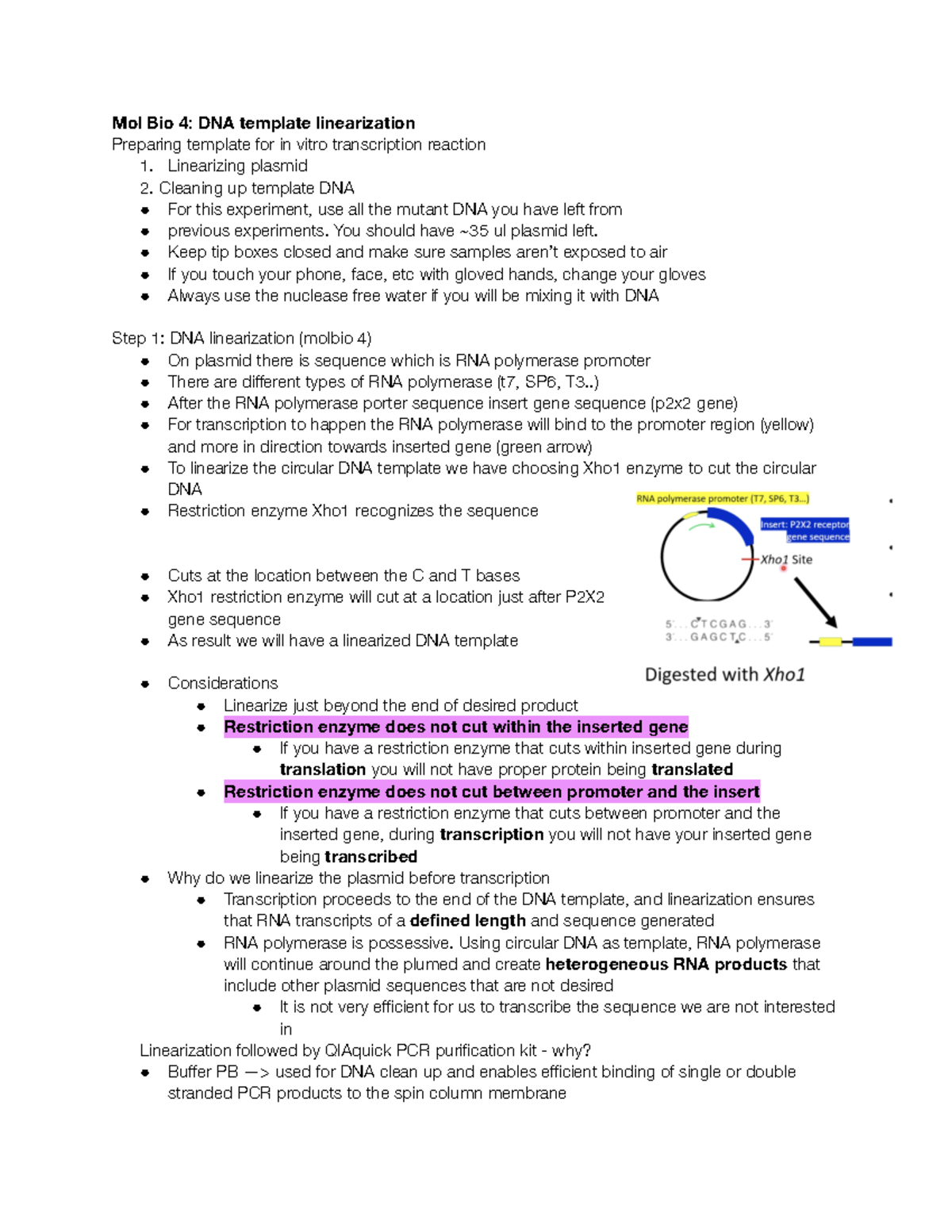 MCDB 423 LECT 11-12 - Lecture notes 11-12 - Mol Bio 4: DNA template ...