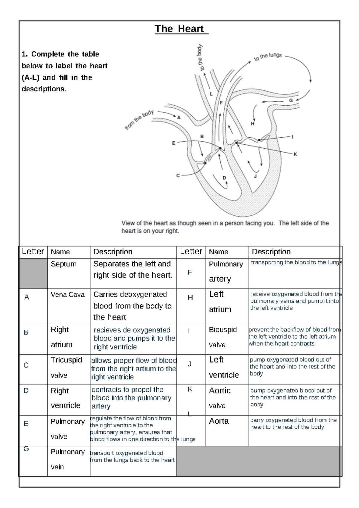 The Heart and blood vessels - The Heart 1. Complete the table below to ...