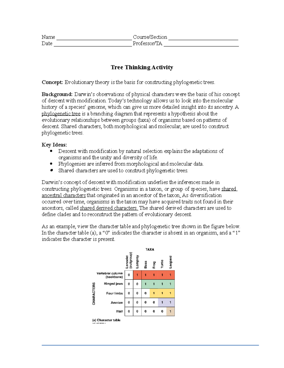 Phylogenetic Trees Tree Thinking Activity - Name ...
