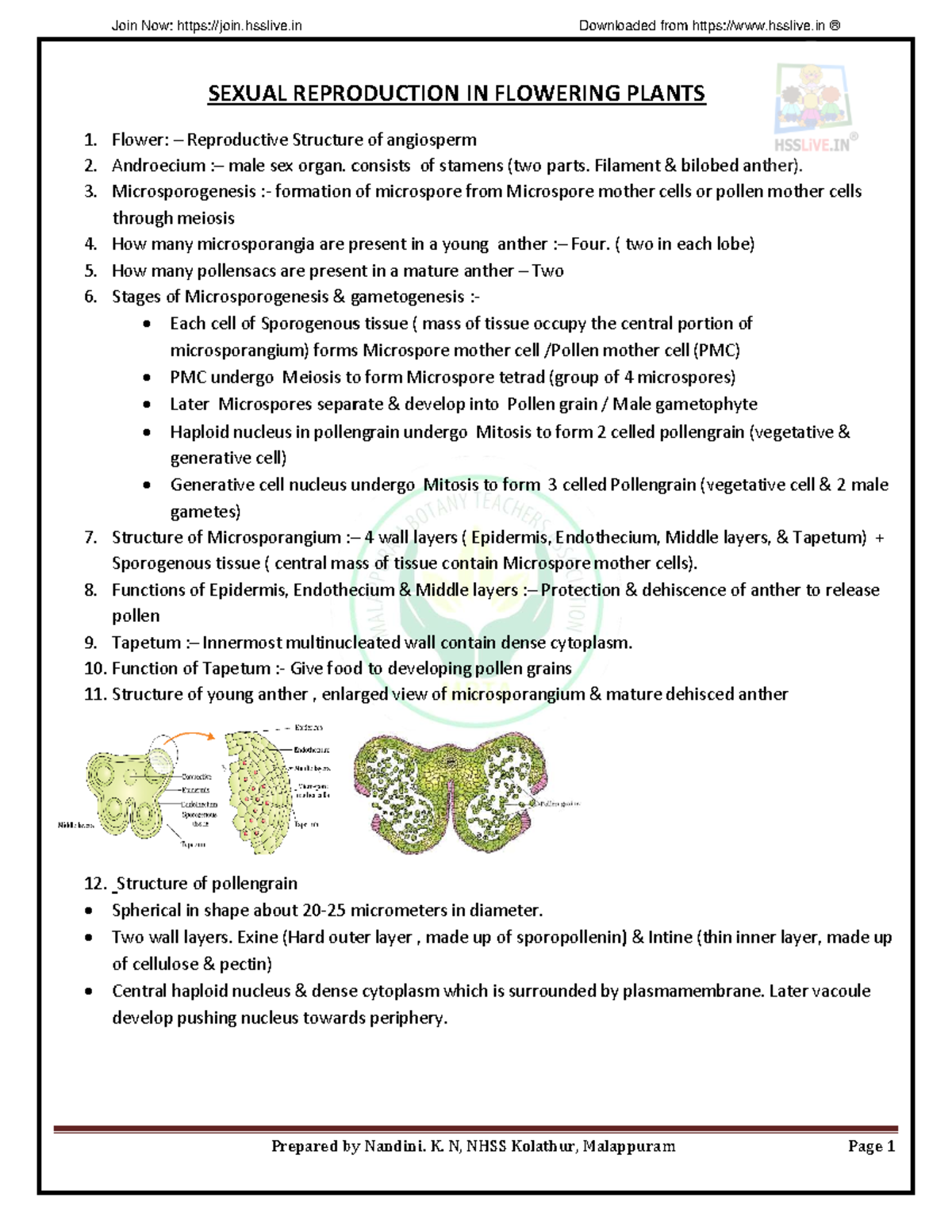 Hsslive xii botany short notes nandini - Prepared by Nandini. K. N ...