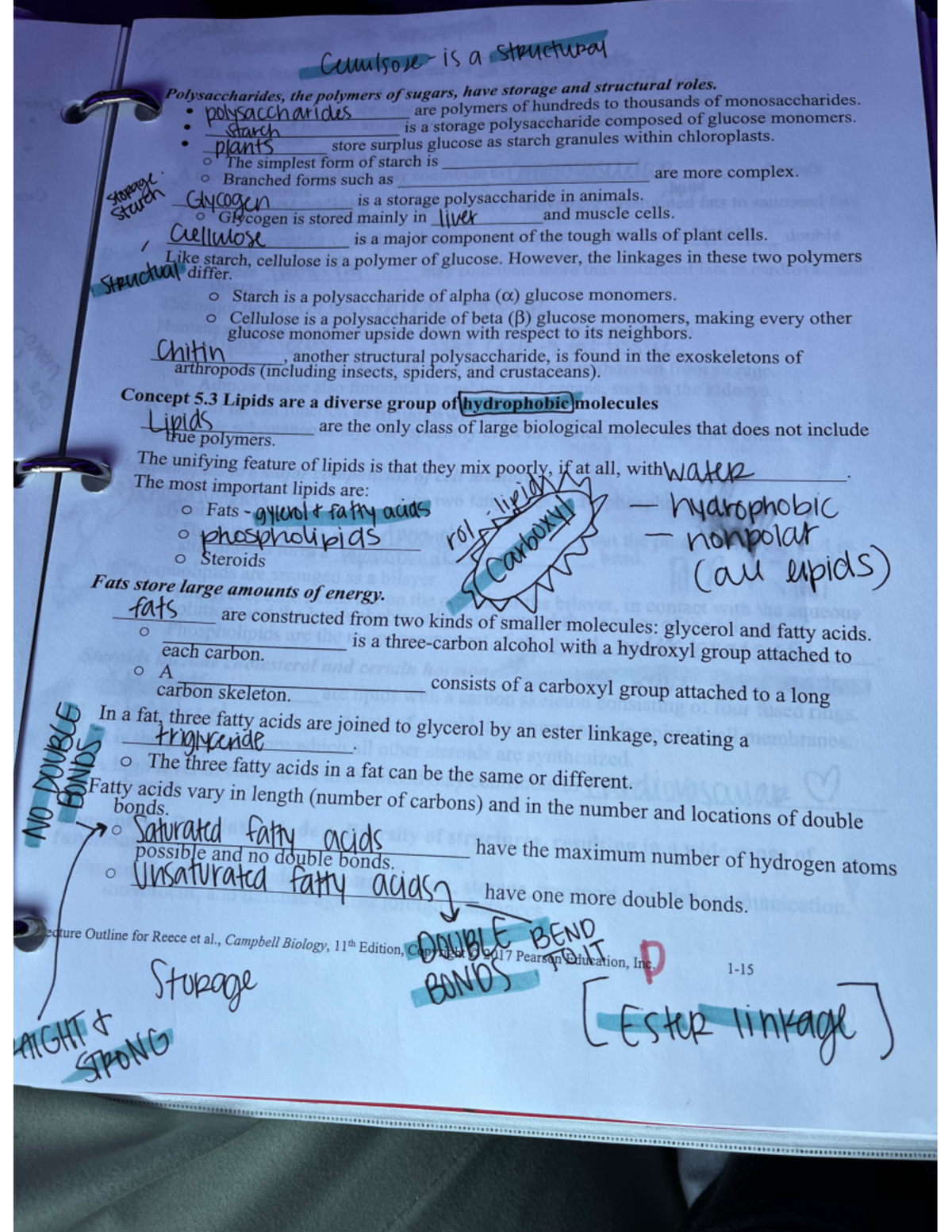 7 - biology lecture notes - BIO1134 - Studocu