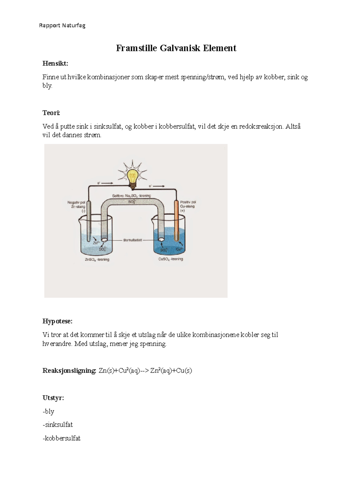 Galvanisk Element - Rapport Naturfag Framstille Galvanisk Element ...