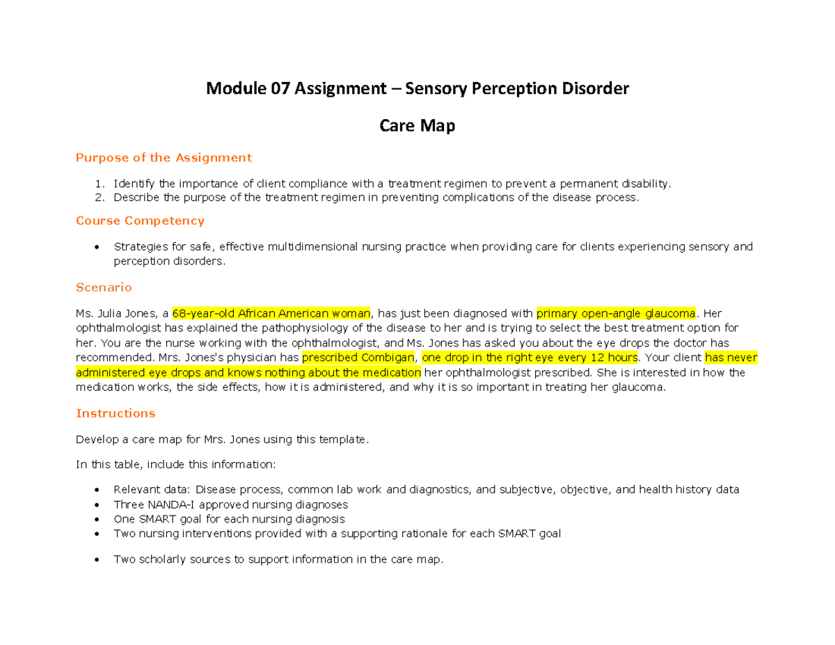 Sensory Perception Care Map 111923 - Module 0 7 Assignment – Sensory ...
