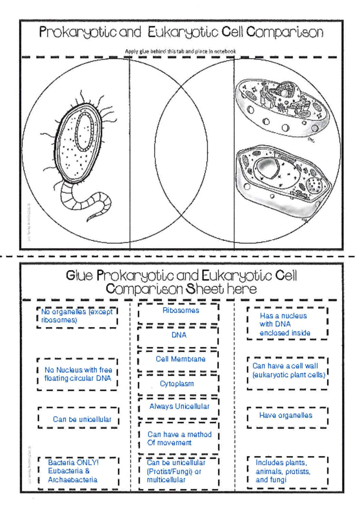 Digital INB Prokaryotic and Eukaryotic Cell Comparison-2 - Prokaryobbc ...