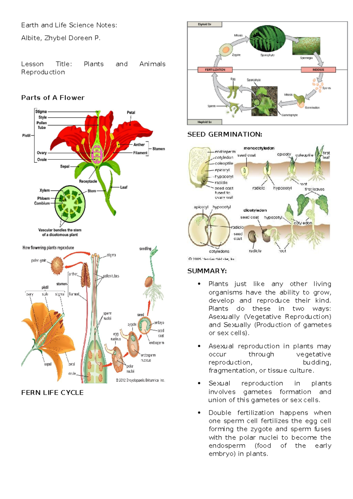 Earth and Life Science Notes - Earth and Life Science Notes: Albite ...