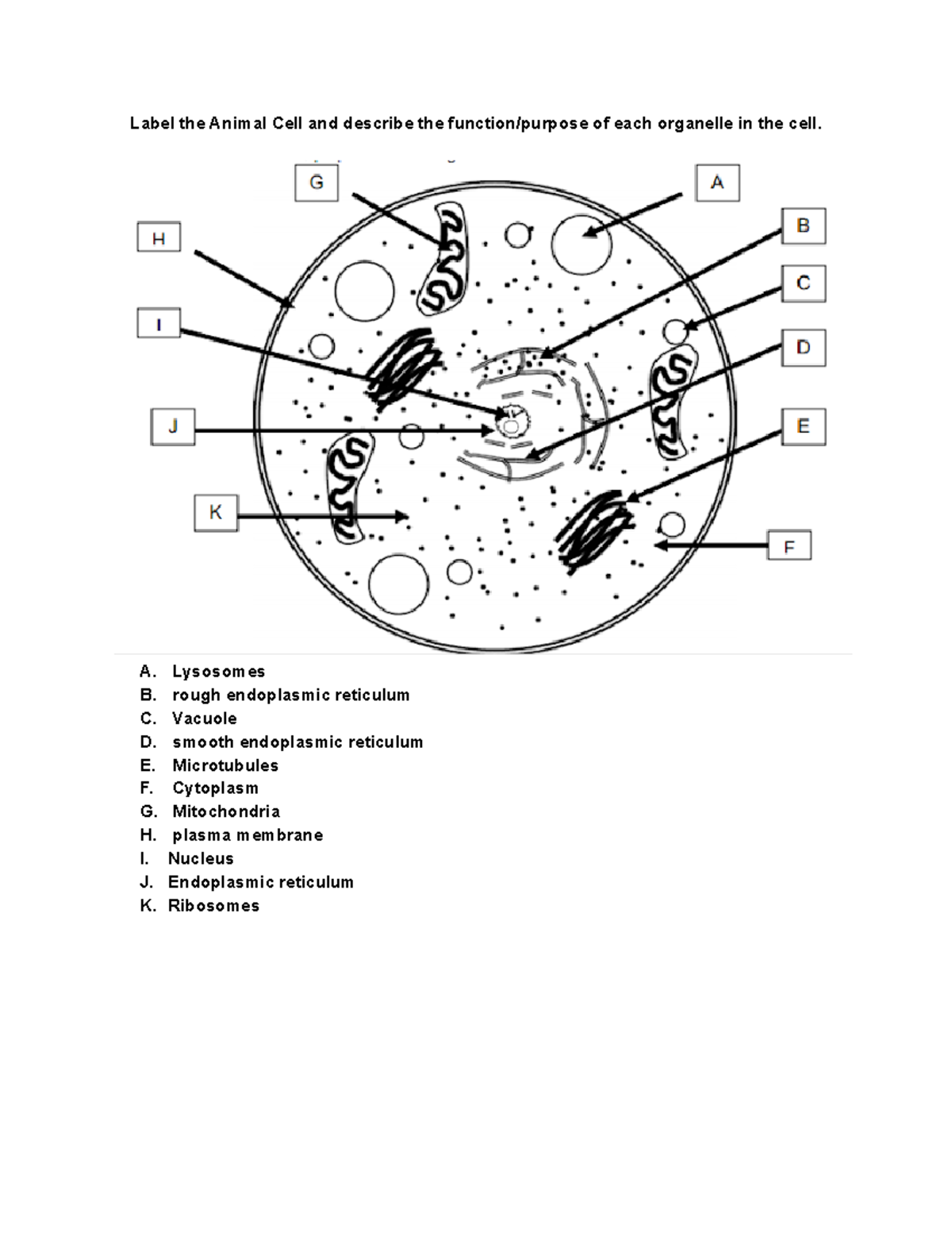 Sasha Etienne - 2.3 Cell Diagram Label - Label the Animal Cell and ...