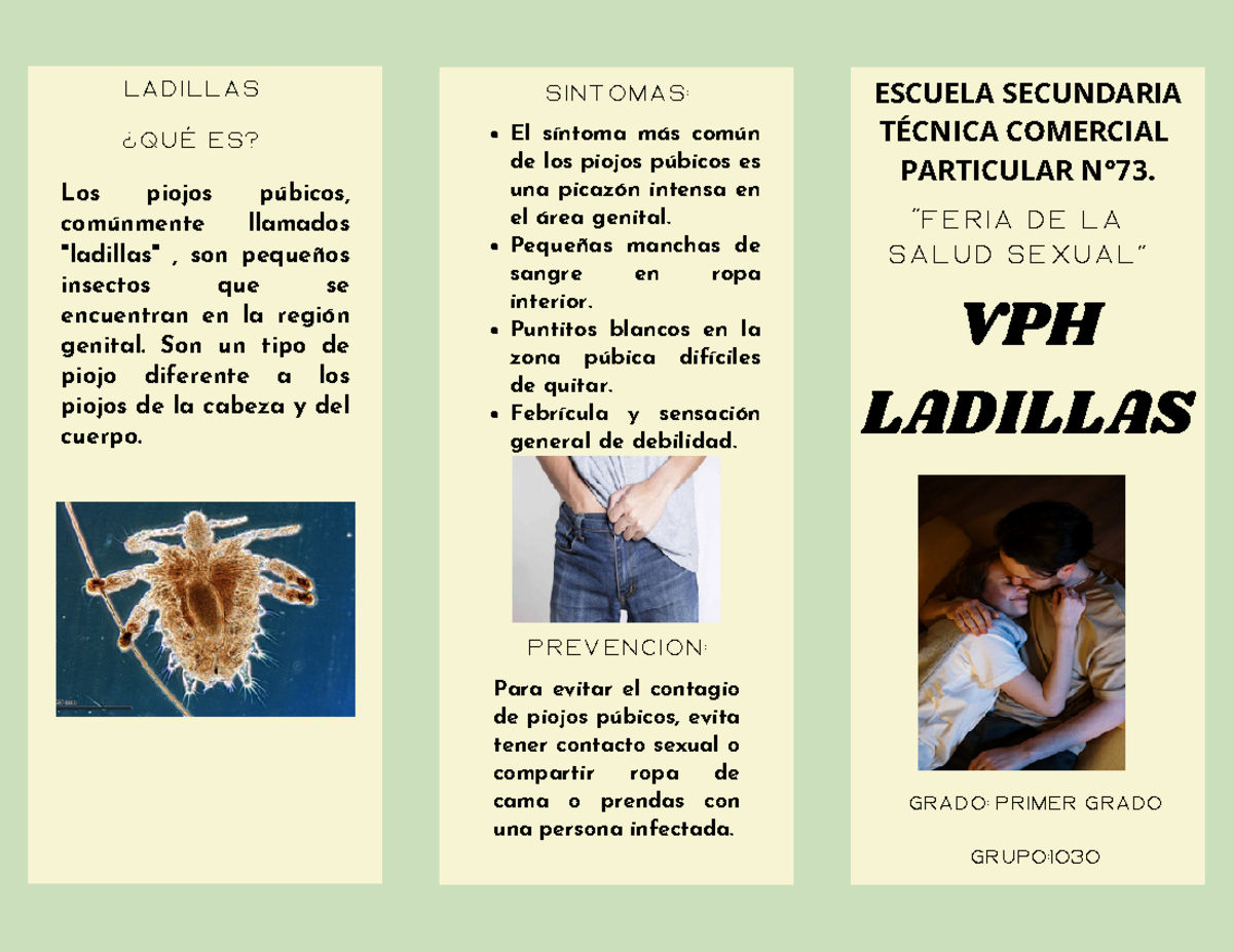Enfermedades de transmisión sexual Ladillas y VPH en ser vivo. - “FERIA ...