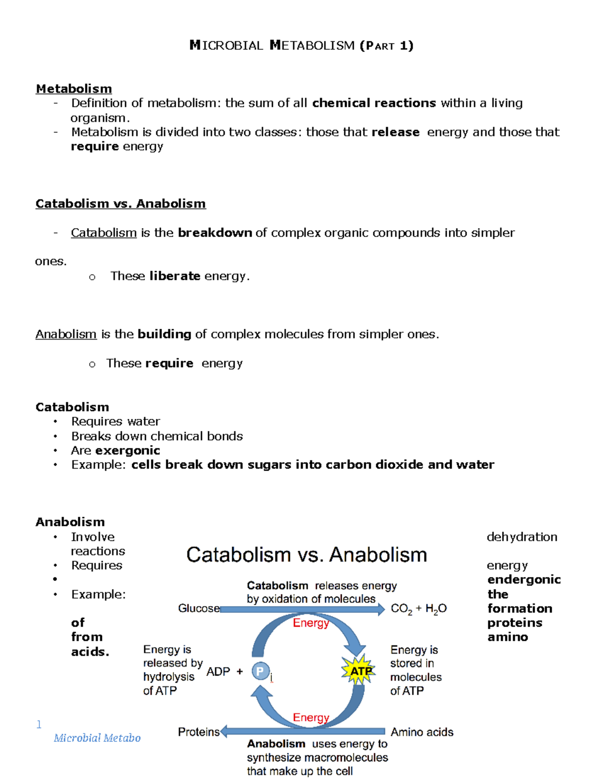 Microbial Metabolism Part 1 - MICROBIAL METABOLISM (PART 1) Metabolism ...