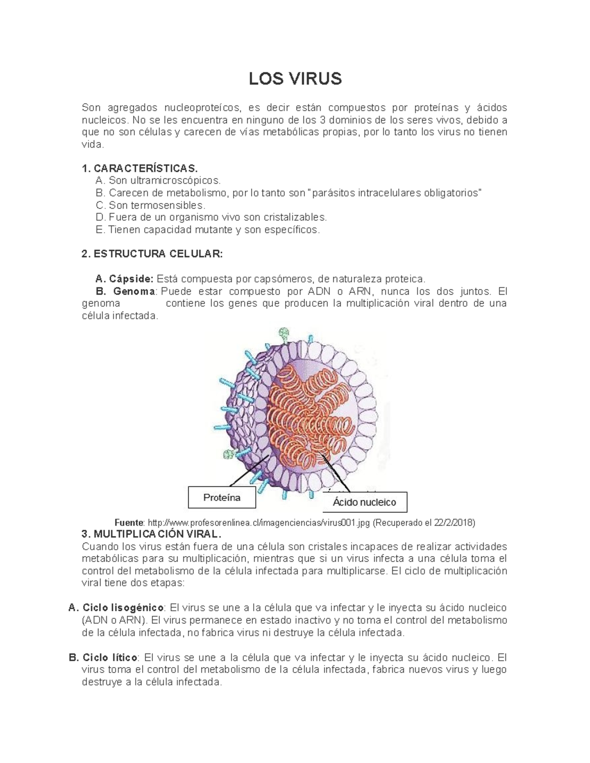 Lecturas Virus - LOS VIRUS Son agregados nucleoproteícos, es decir ...