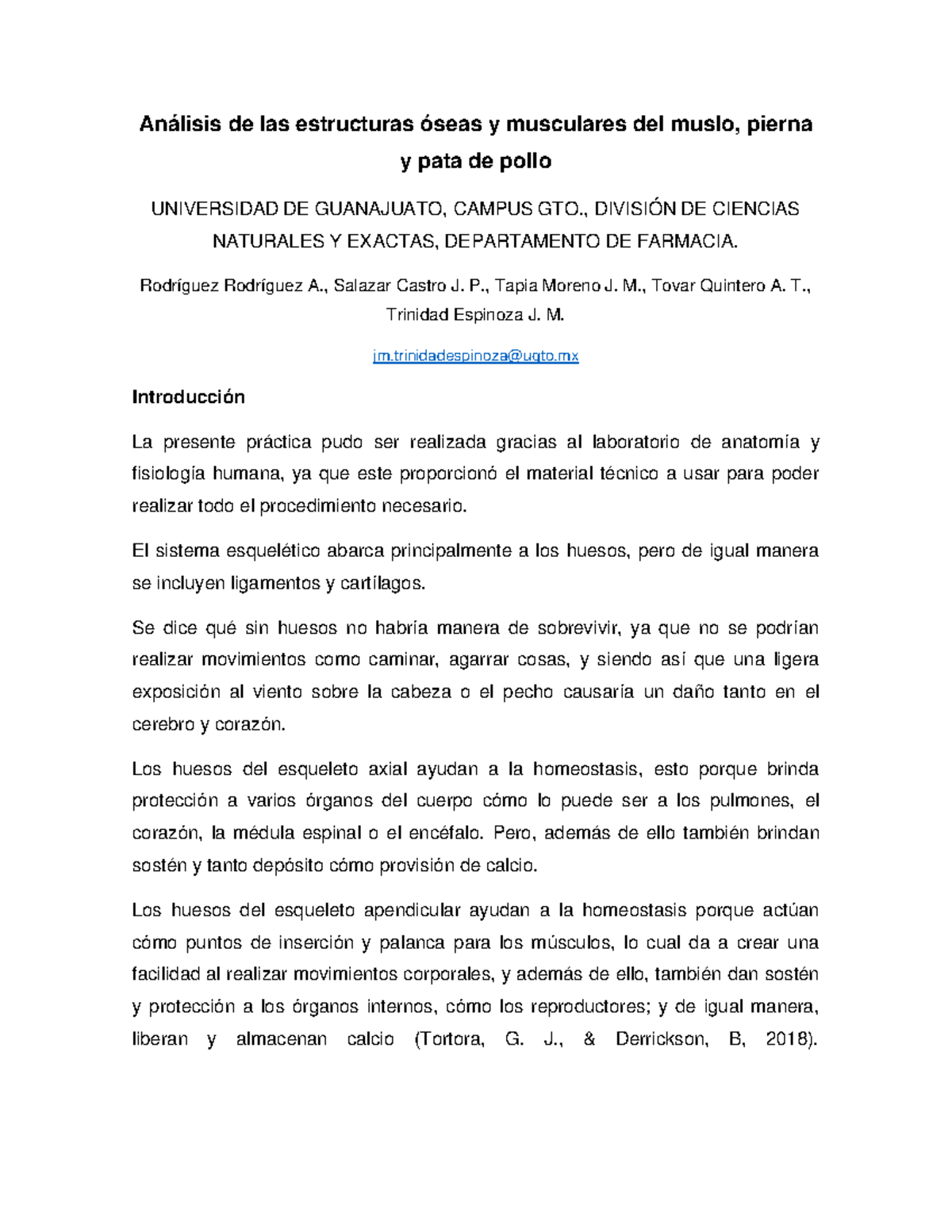 Reporte músculos - Análisis de las estructuras óseas y musculares del ...